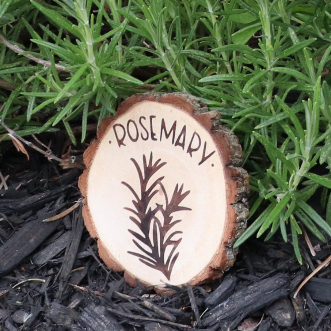 Easy wood burning projects | step by step DIY pyrography blog - Scorch ...